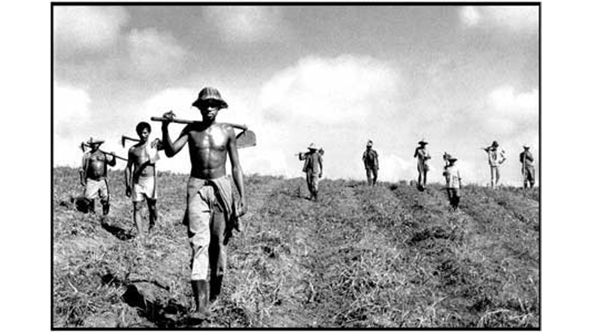 Algo más que una reforma agraria para la transformación del sector ...