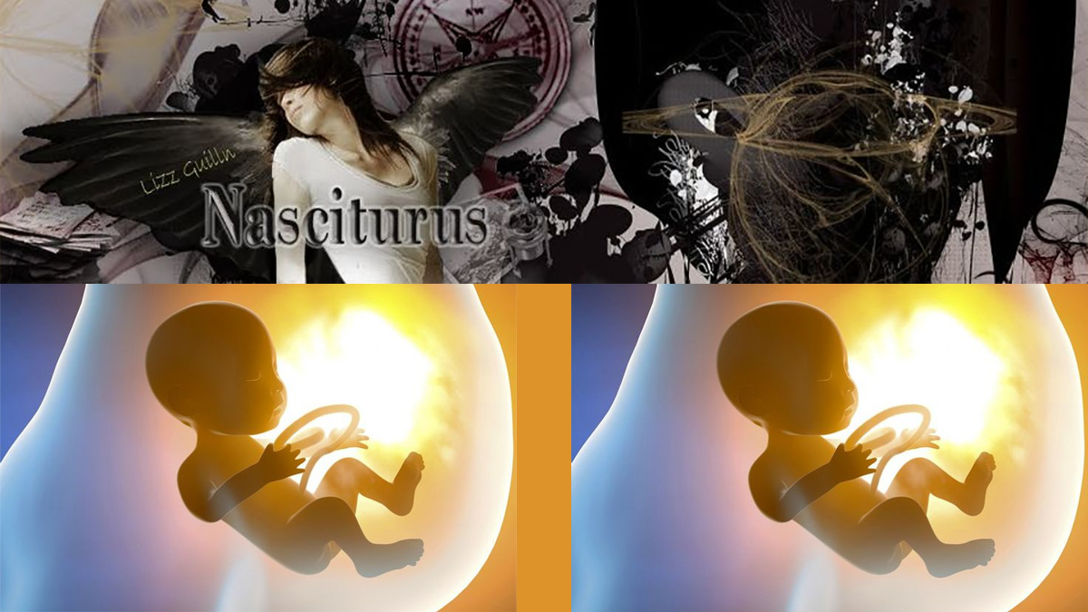 CRÍTICOS DEL ARTE NASCITURUS – Prensa Bolivariana