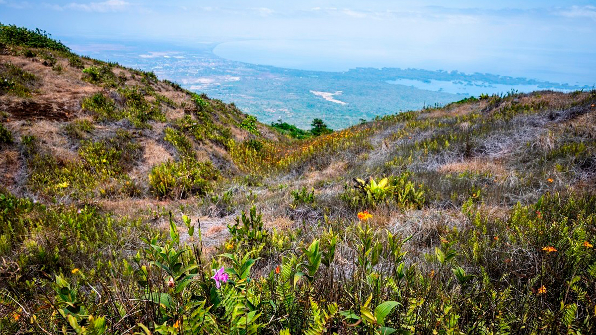 Nicaragua: una foto al lado del retrato de Sandino – Prensa Bolivariana